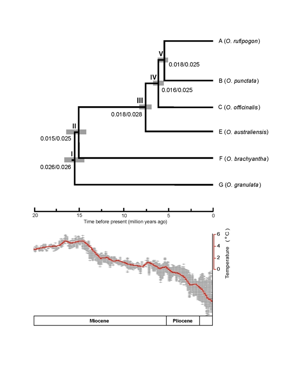 The Ge Laboratory, IBCAS