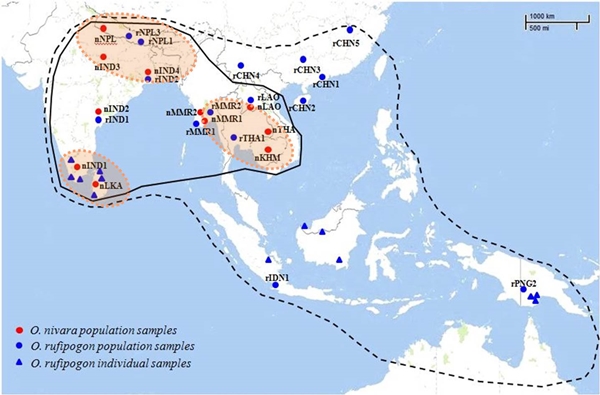 The Ge Laboratory, IBCAS