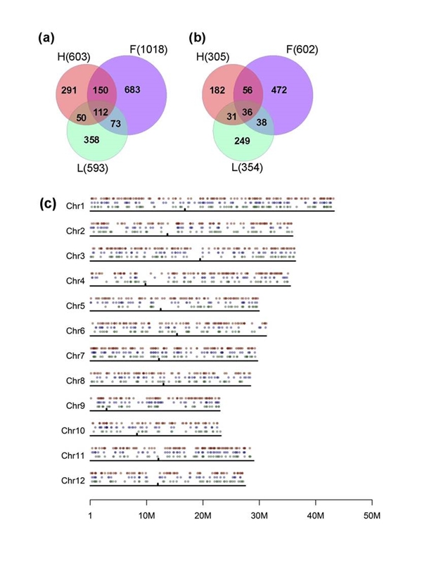 The Ge Laboratory, IBCAS