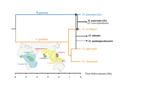 The Ge Laboratory, IBCAS