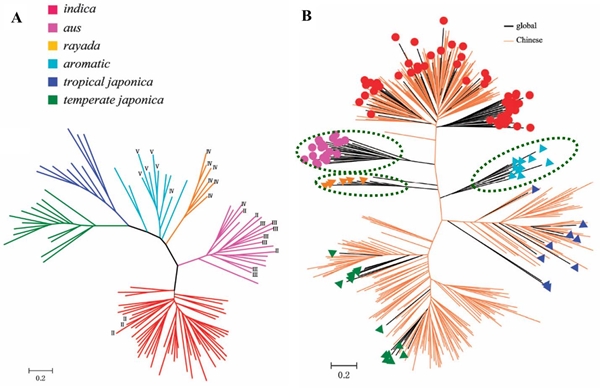 The Ge Laboratory, IBCAS